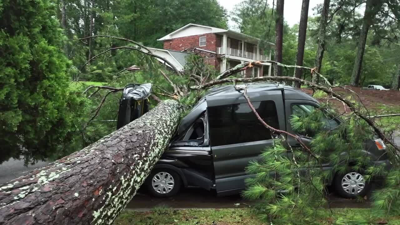 Fallen tree crushes van like 'a soda can' | FOX 5 News - YouTube