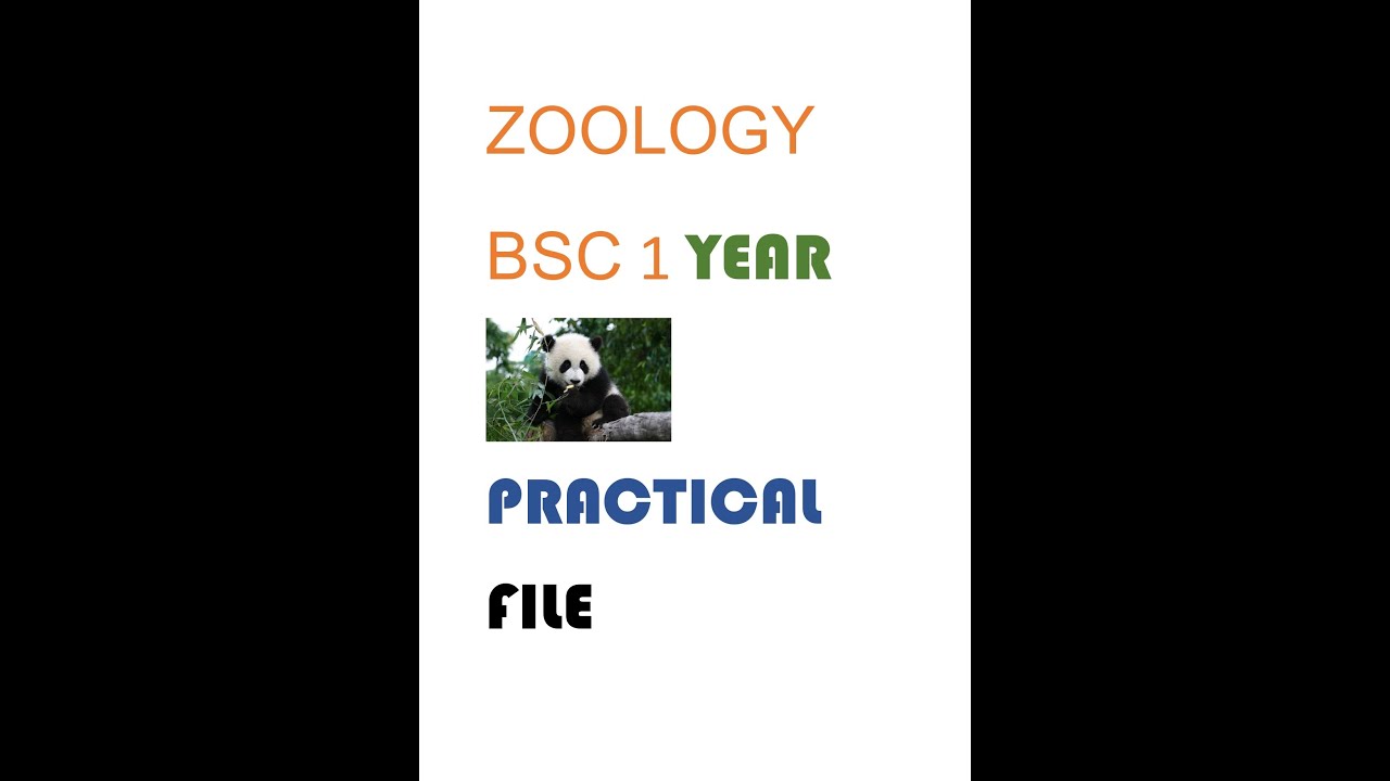 zoology BSC 1st Year practical notebook 2019-20 - YouTube