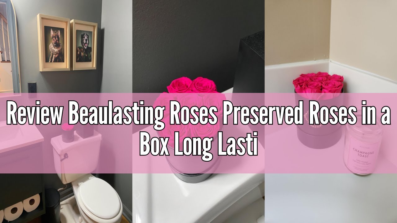 Review Beaulasting Roses Preserved Roses in a Box Long Lasting Roses ...