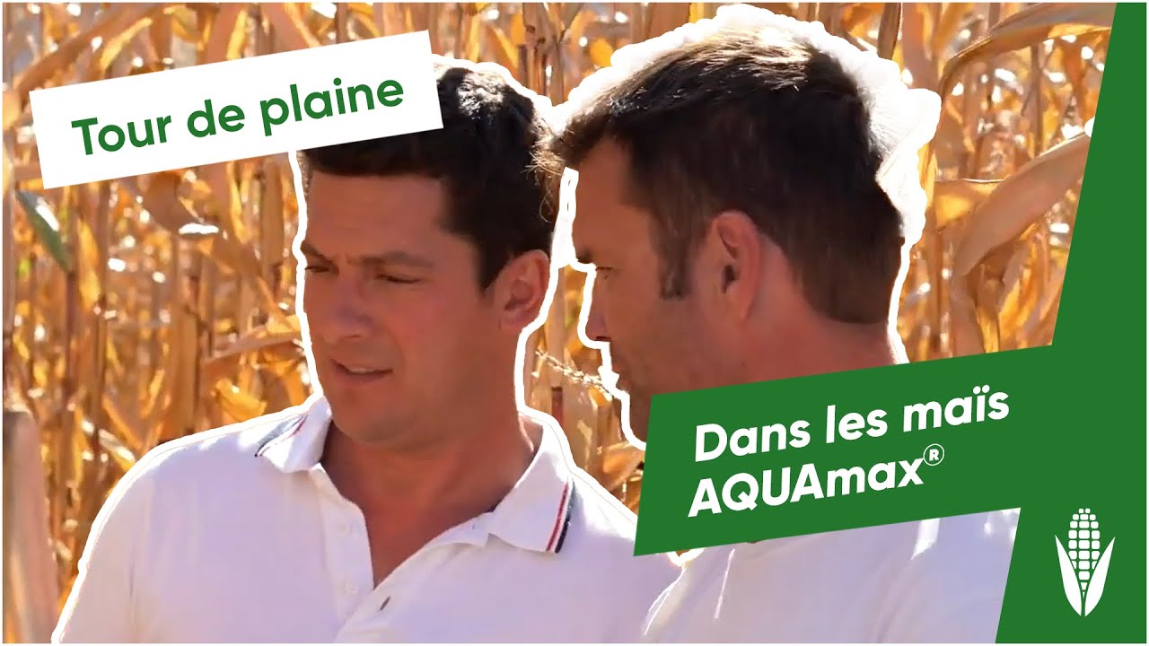 Tour de plaine : dans les maïs AQUAmax® - YouTube