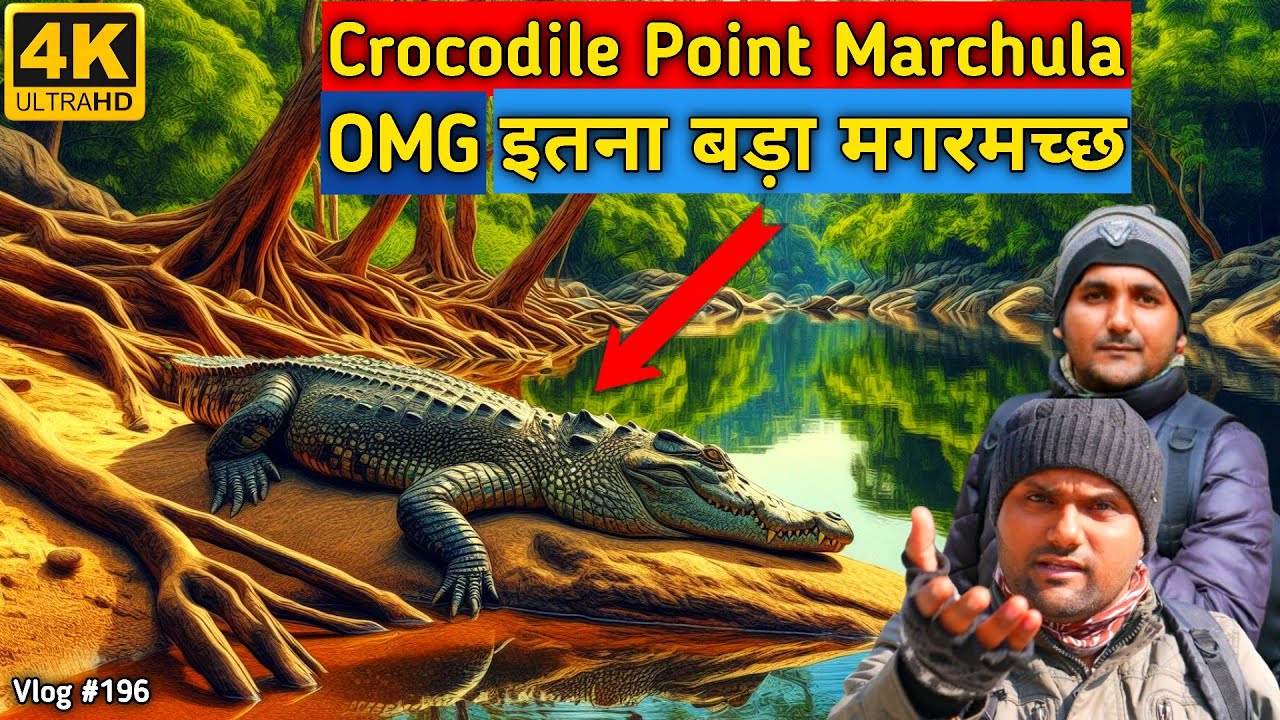 OMG इतना बड़ा मगरमच्छ 🐊😰 Crocodile View Point Ramganga River Marchula ...