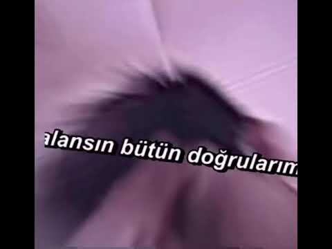 cellat36 edit