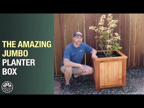 How Top Make A Planting Tree Box