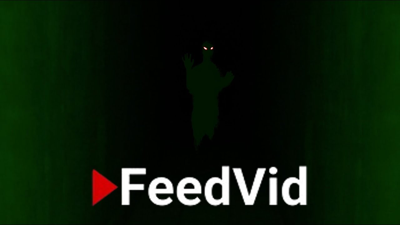 The Internet is a LIE!| FeedVID - YouTube