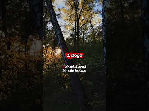 Arkadaşlığı Bir Ömür Süren Burçlar