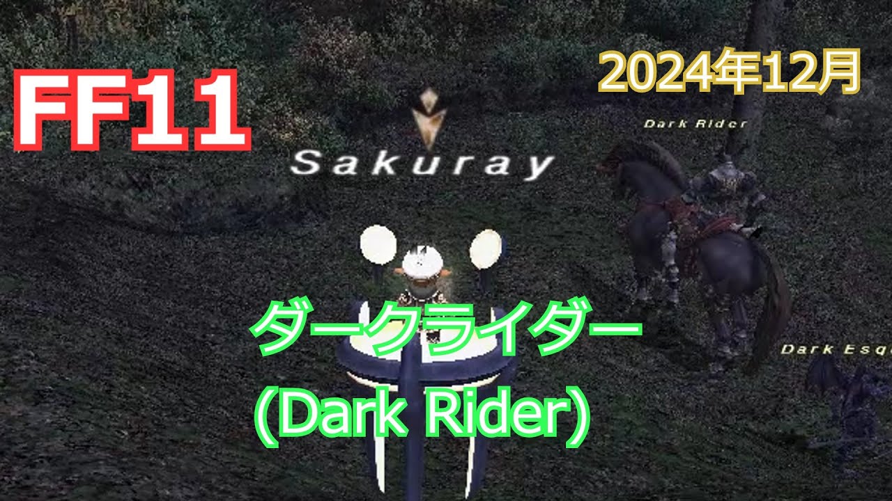 【FF11】ダークライダー（Dark Rider）【超レアNM】 - YouTube