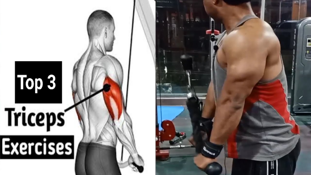 Best Triceps Exercises for beast type of Triceps 🔥 - YouTube