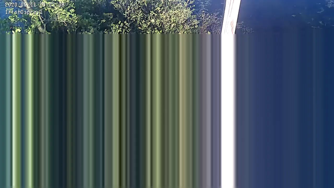 Irish Lake Indiana Osprey Cam Live Stream - YouTube