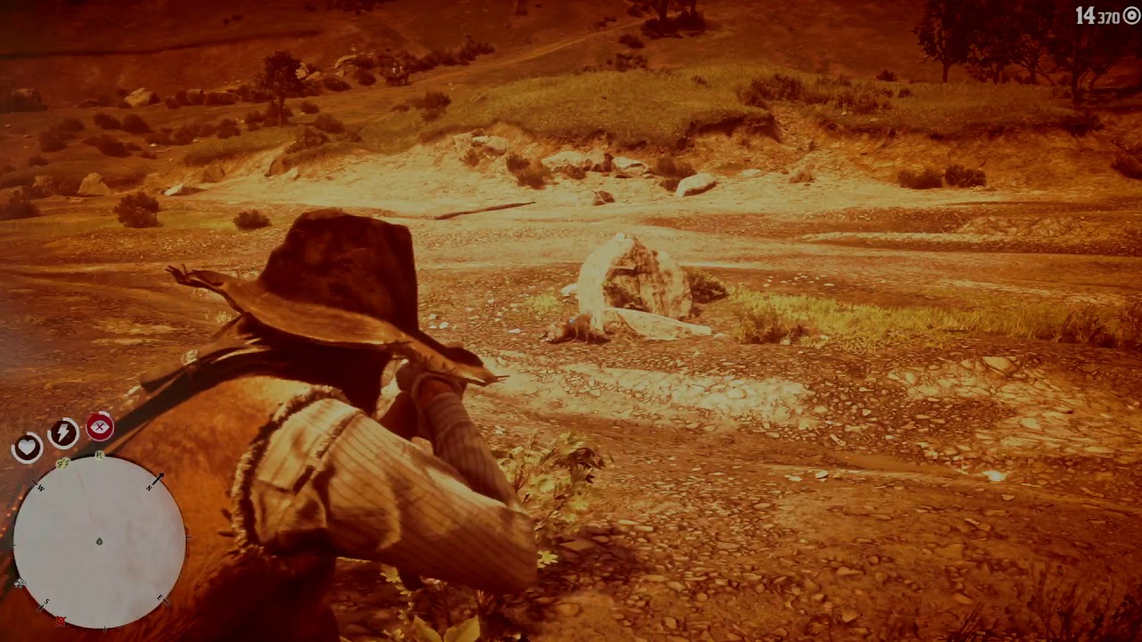 Red Dead Redemption 2 Legendary Coyote hunt - YouTube