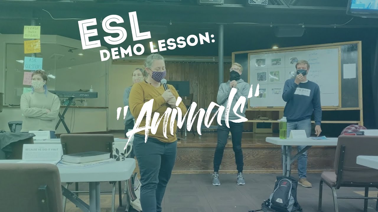 ESL Demo Lesson: "Animals" Vocabulary (for all ages and levels) - YouTube
