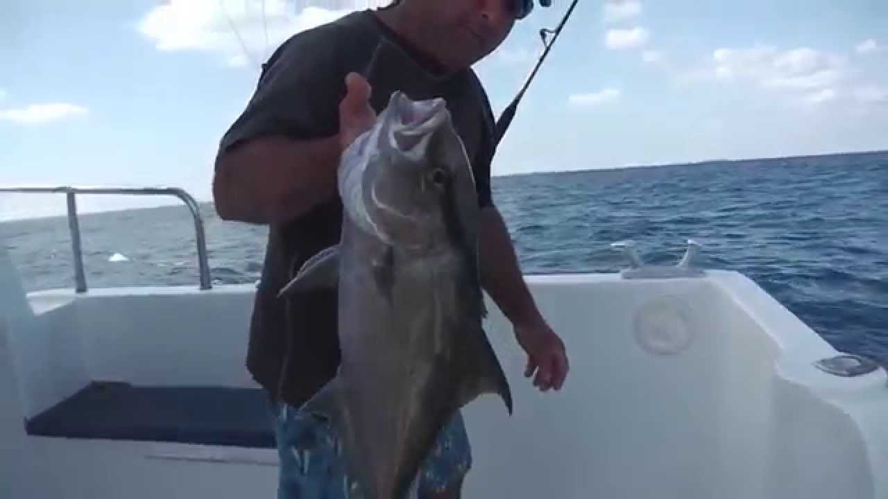 Cuban Amber Jack Sol Cayo Guillermo - YouTube
