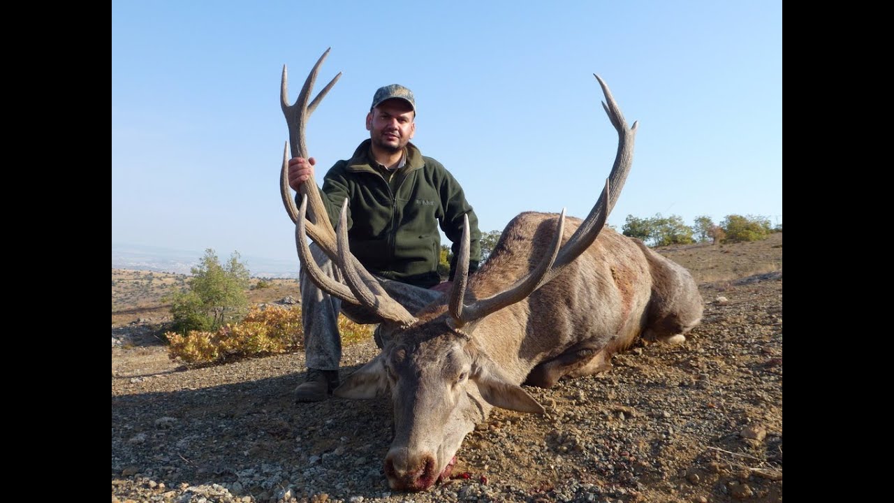 Bezoar Ibex & Red Deer Hunting by Recep Ecer - YouTube