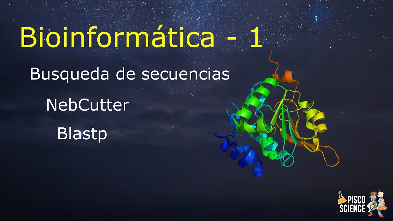 Bioinformática 1: Bases de datos, análisis de secuencias de nucleótidos ...
