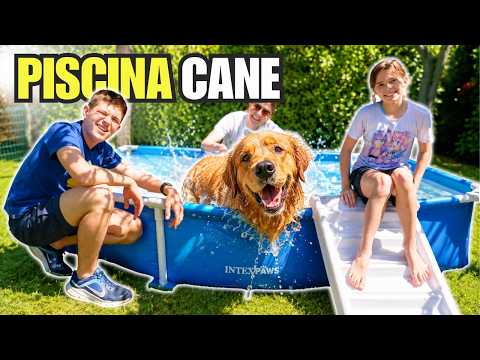 PROVIAMO LA PISCINA PER CANI: Summer Si Tuffa e Gioca