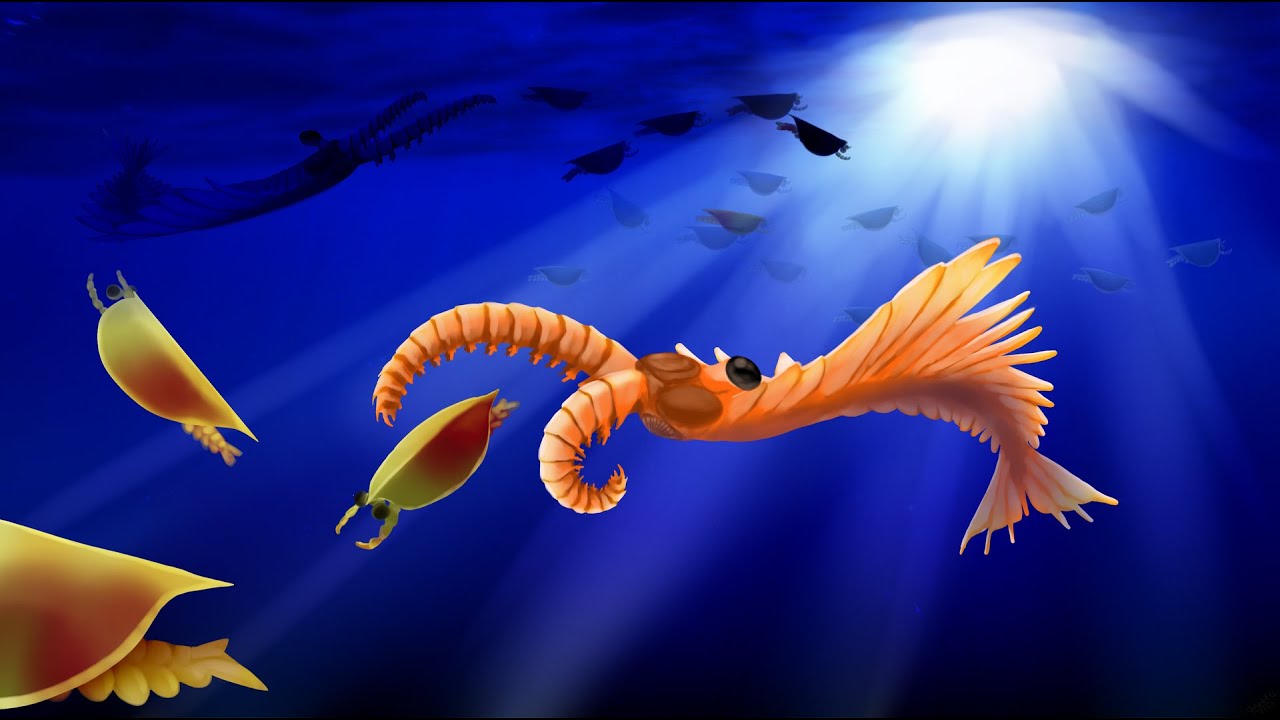 Radiodonts: 'Giants' of the Cambrian - YouTube