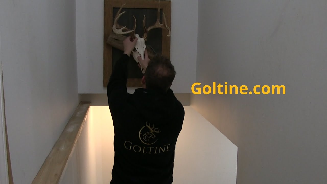 How To Hang Your European Mount From Goltine.com - Custom Built Plaques ...