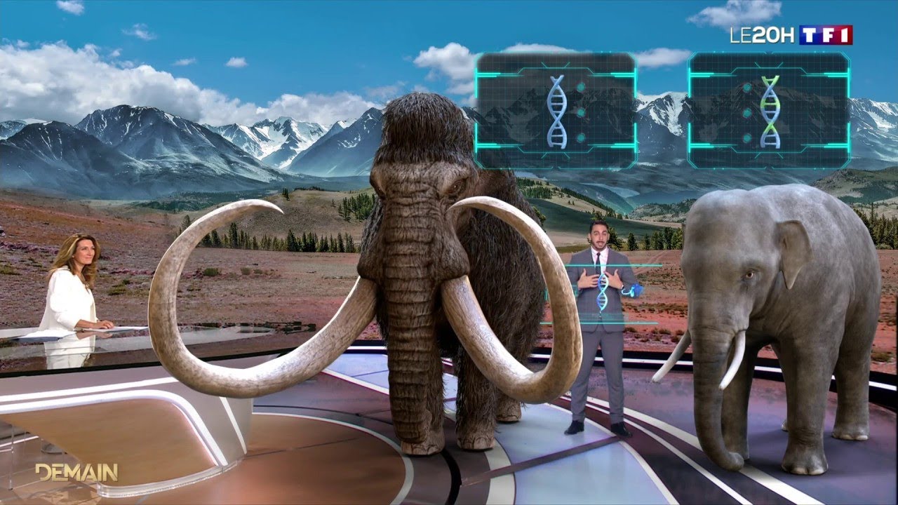 Un mammouth grandeur nature s'invite dimanche au 20H de TF1 - YouTube