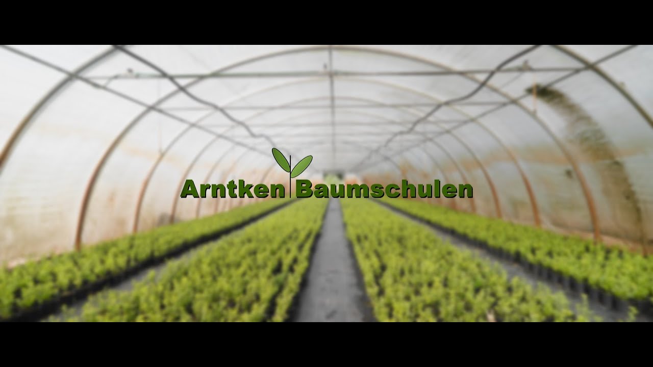Arntken Baumschulen in Bad Zwischenahn - YouTube