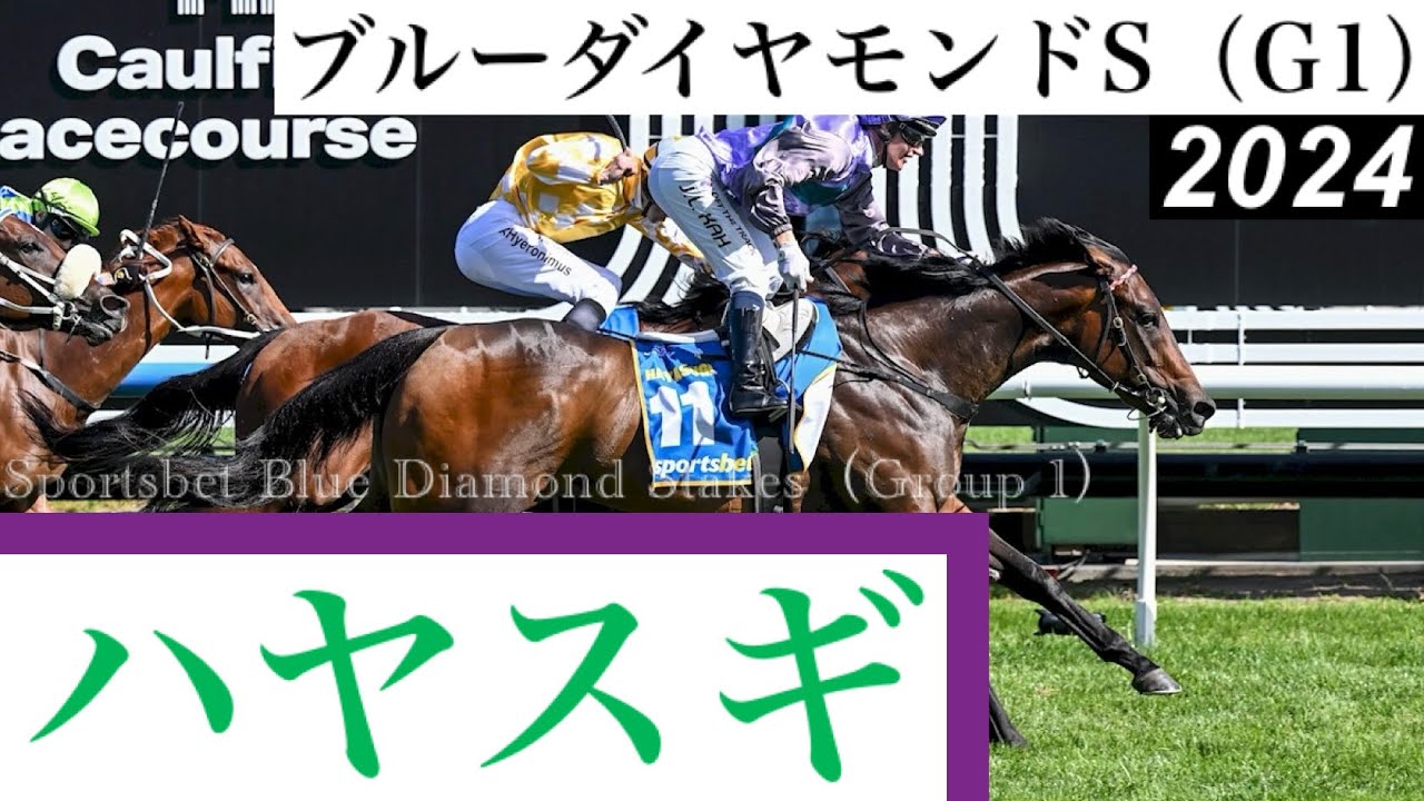 ハヤスギが3連勝でG1制覇！【ブルーダイヤモンドS 2024】/ Hayasugi【Sportsbet Blue Diamond Stakes ...