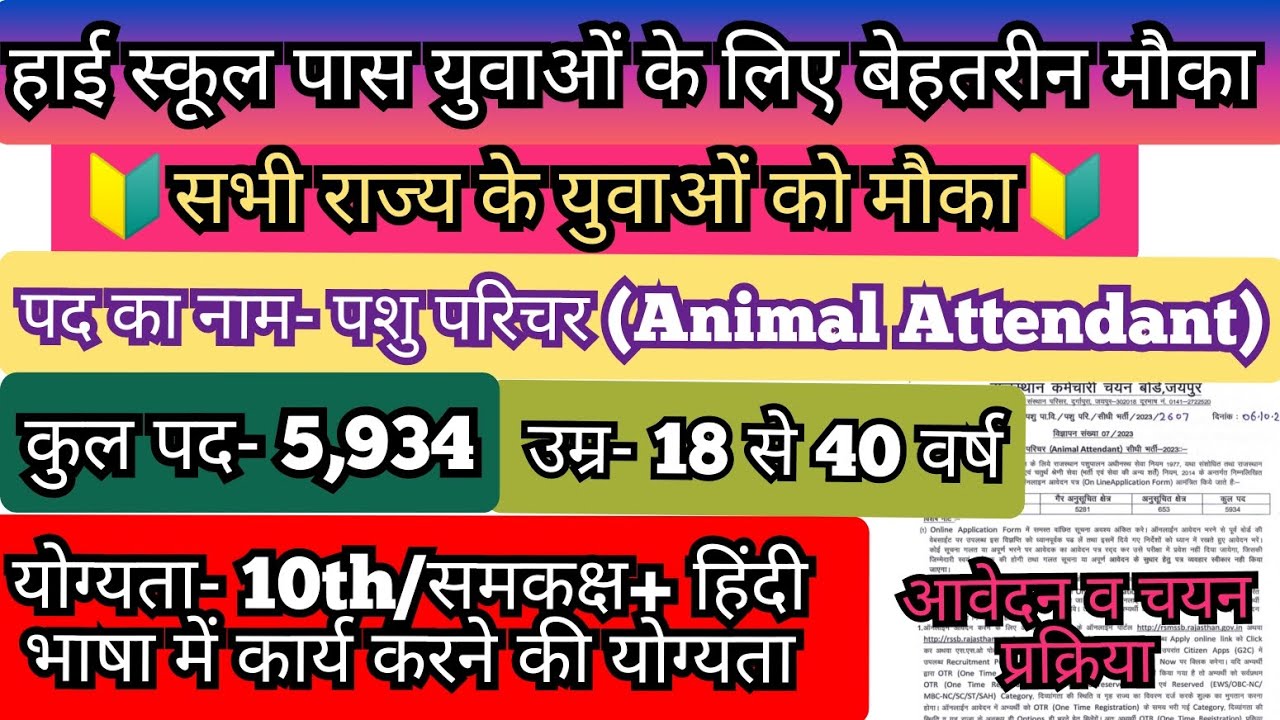हाई स्कूल पास युवाओं के लिए बंपर भर्ती | ALL State ALLOW | animal ...