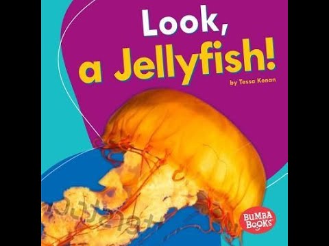 PixieLin's Storytime: Look, a Jellyfish! by Tessa Kenan - YouTube