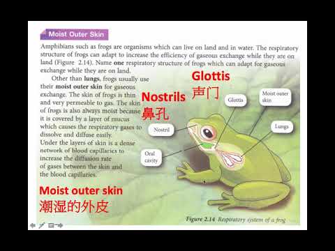Form 3 Science Chapter 2 Respiration part 6 - YouTube