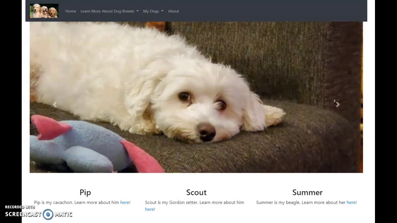 Final Project - Screencast #2 - YouTube