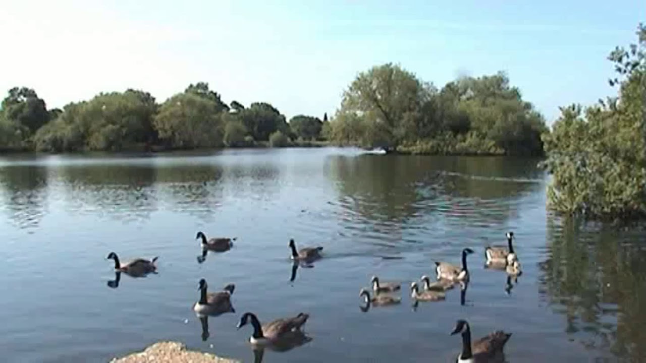 Roding Valley Lake Buckhurst hill/loughton (2005) Screensaver Projector ...