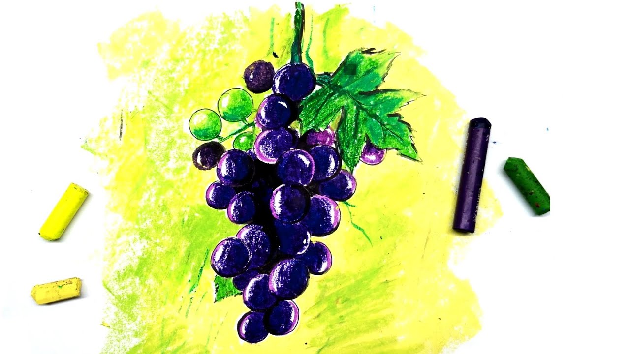 How to draw Grapes with oil pastel color /Fruits drawing for kids/Angur ...