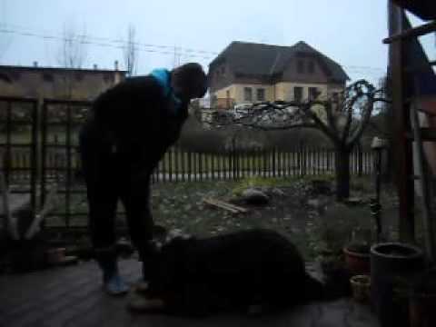 Vstaň - Monika Lajerová - Bizzarini z Podhořanských kopc