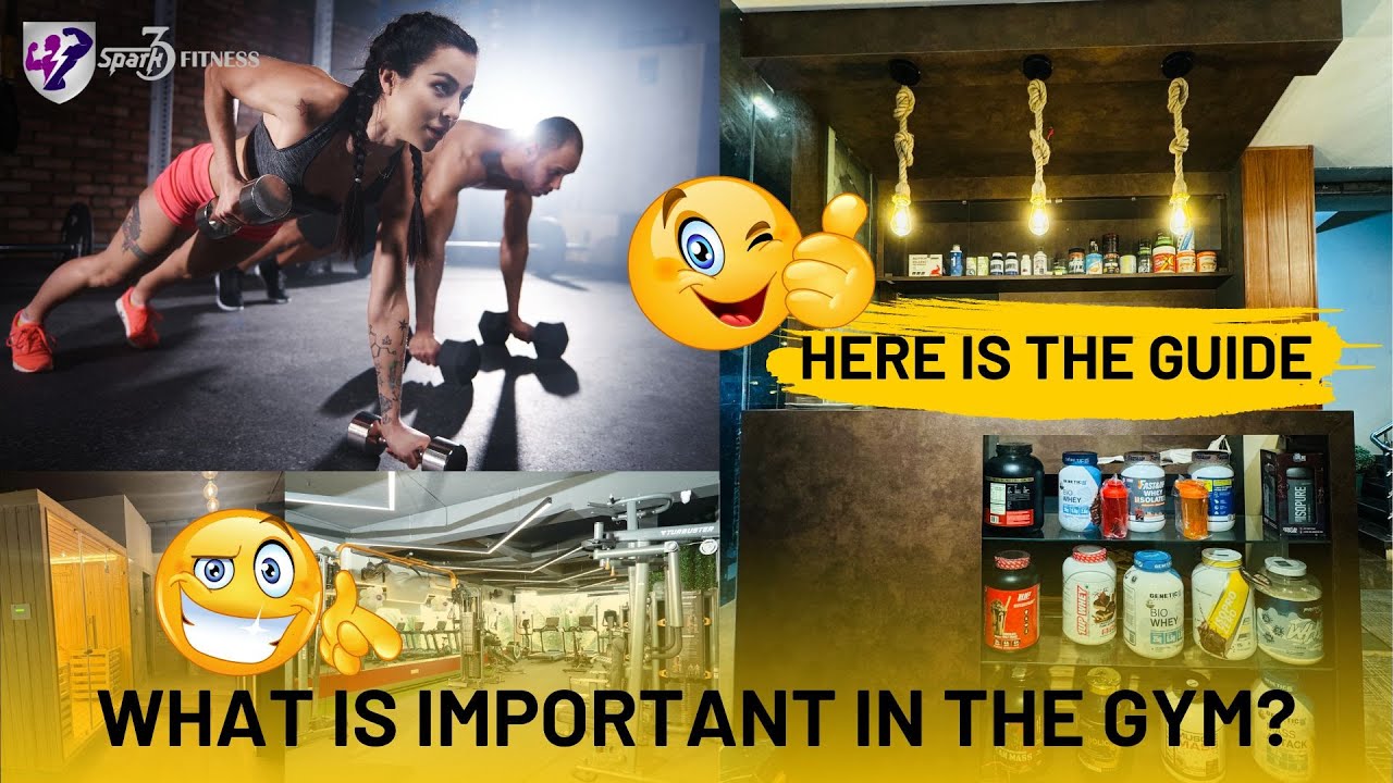 What is important in the GYM? | Best GYM for Fitness Freaks | GYM at ...
