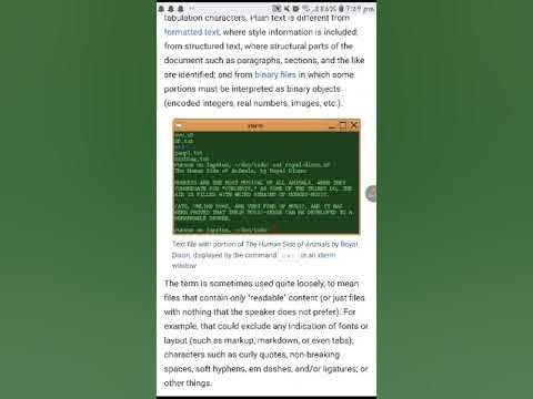 What is plain text - YouTube