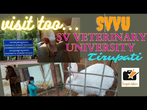 Sri Venkateswara Veterinary University Visit // Tirupati Talkers ...