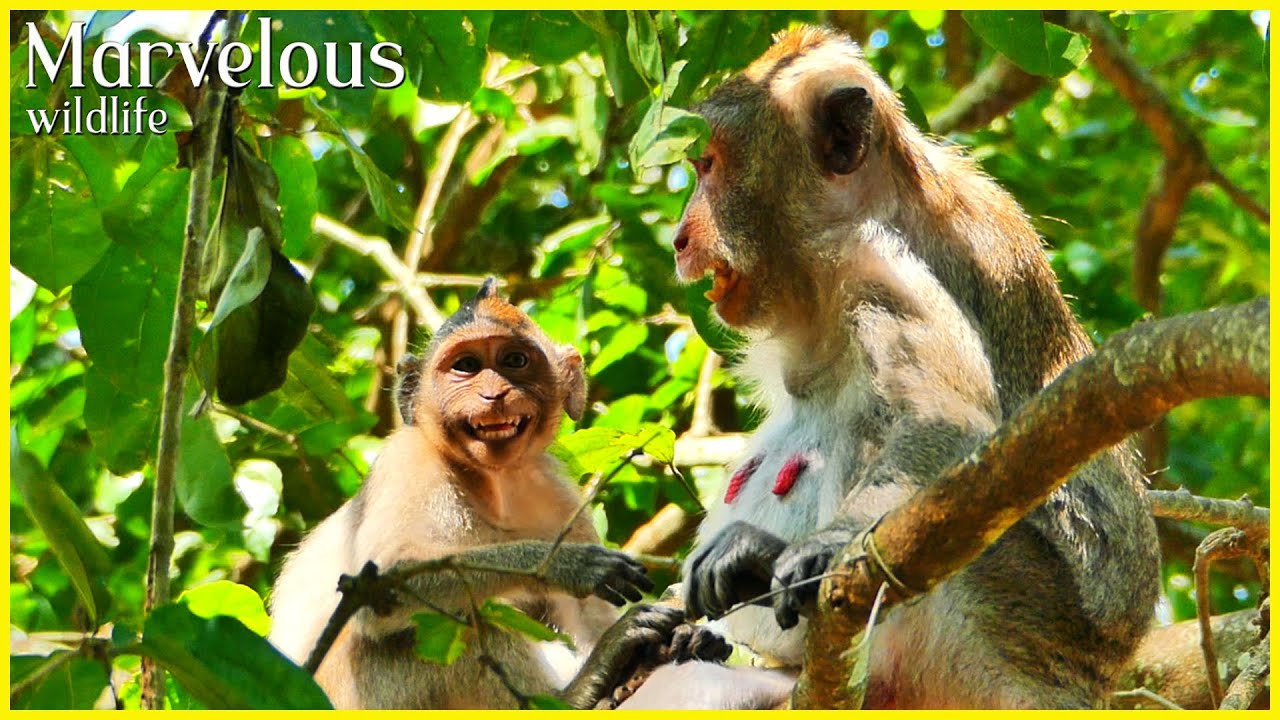 Mother Jane's action u/nhappyy with a/ctss of br@t Jonna taked the milk ...