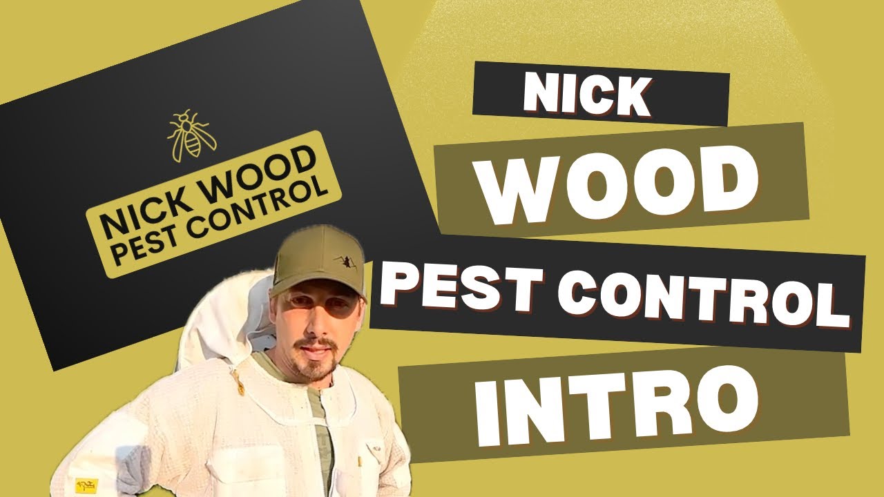 NICK WOOD Pest Control - YouTube