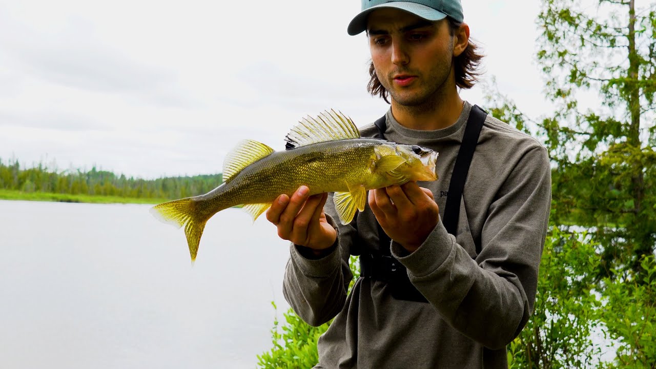 How to Shore Fish Multi-Species on the River - YouTube