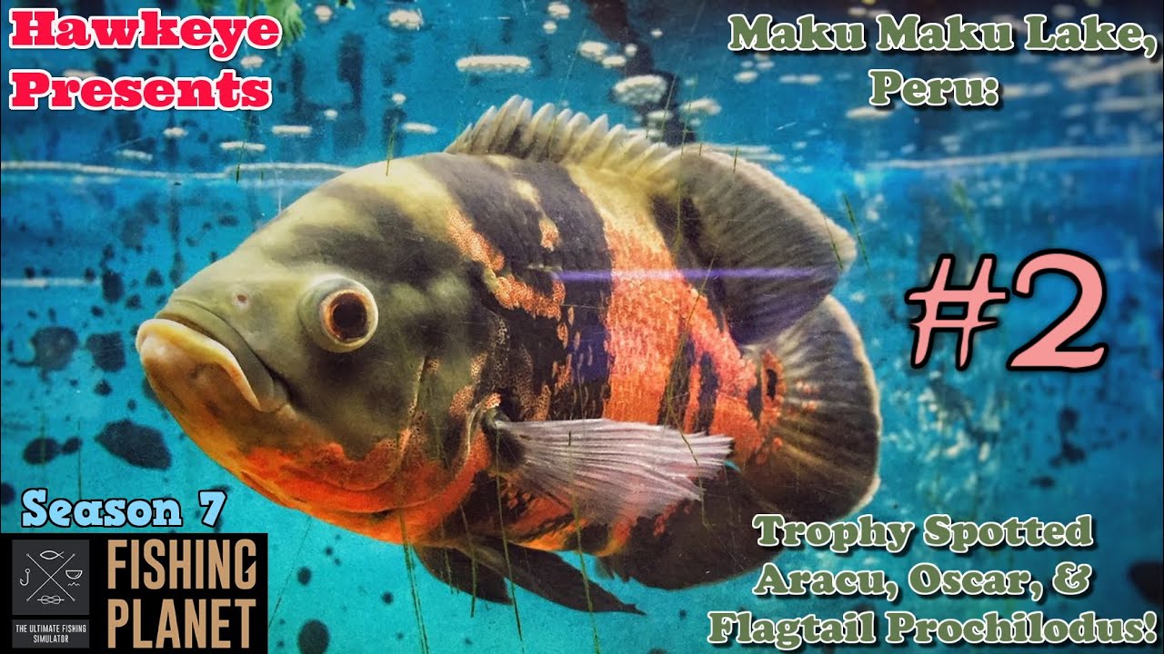 Fishing Planet #2 - S7 | Maku Maku Lake, Peru': Trophy Spotted Aracu ...