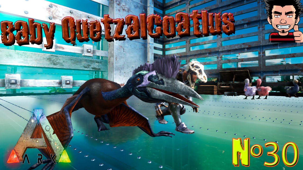 Ark Survival Evolved Criamos Baby Quetzalcoatlus Gameplay español nace ...