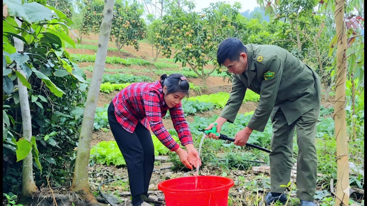 police officer helps single mother renovate an abandoned farm, and ...