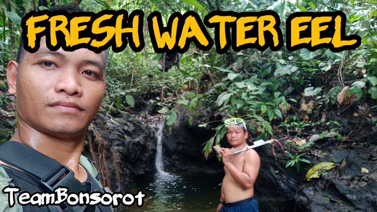 KASILI | FRESH WATER EEL #TeamBonsorot #eel #freshwatereel #adventure ...