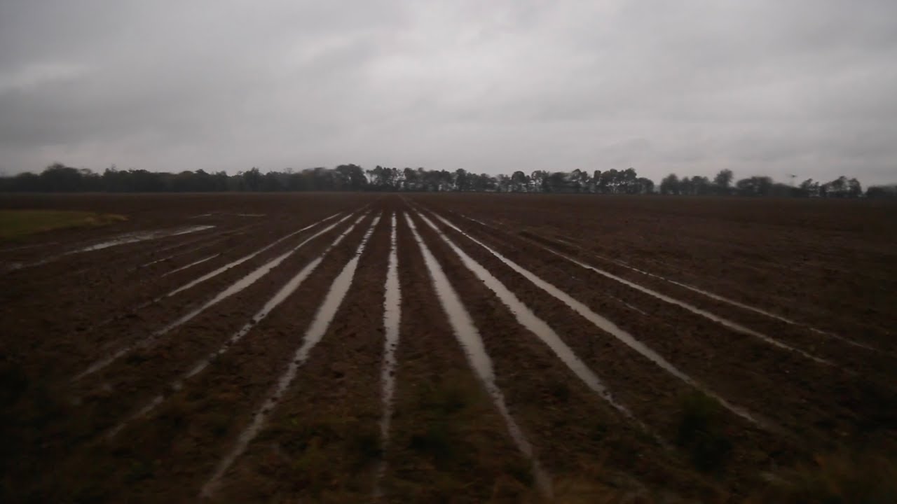 Taking Back the Land: Sowing the Seeds through Generations - YouTube