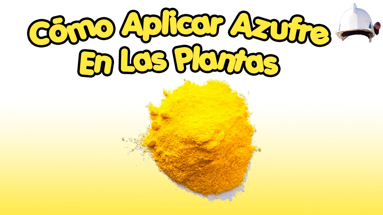 Cómo aplicar Azufre en las plantas - YouTube