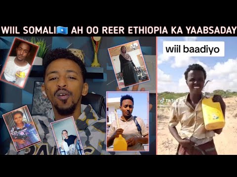 WIIL SOMALI🇸🇴 OO REER TIKTOK CIILEEN AYAA DALKA ETHIOPIA🇪🇹 DHAN ...