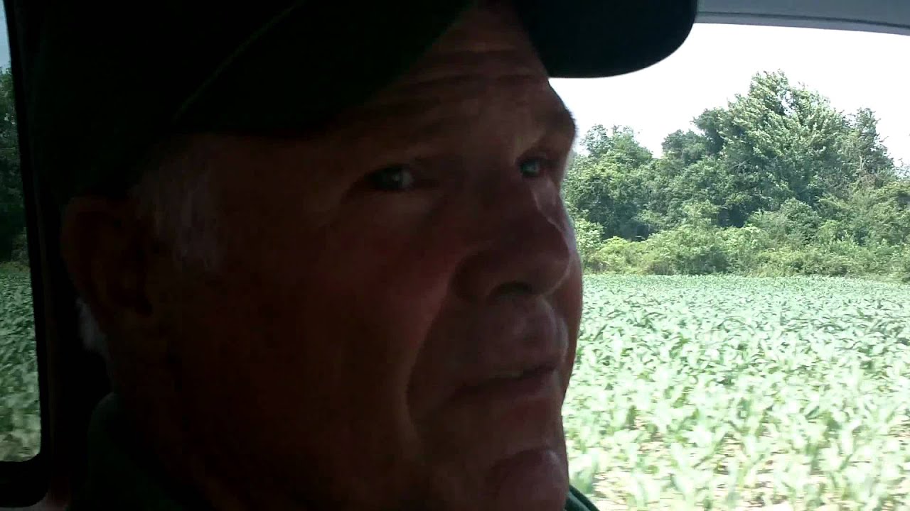 The Virtues of Wood Gas, With Wayne Keith - YouTube