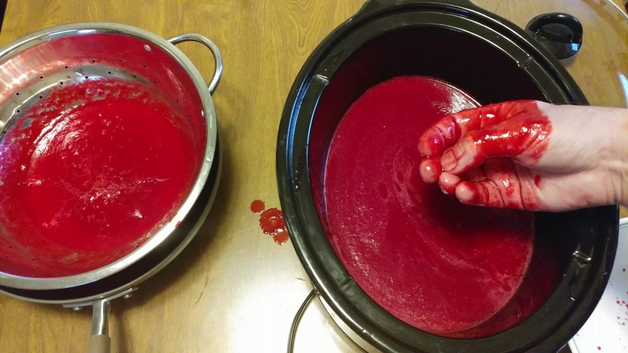 MAKING PRICKLY PEAR CACTUS SYRUP WITHOUT SUGAR - YouTube