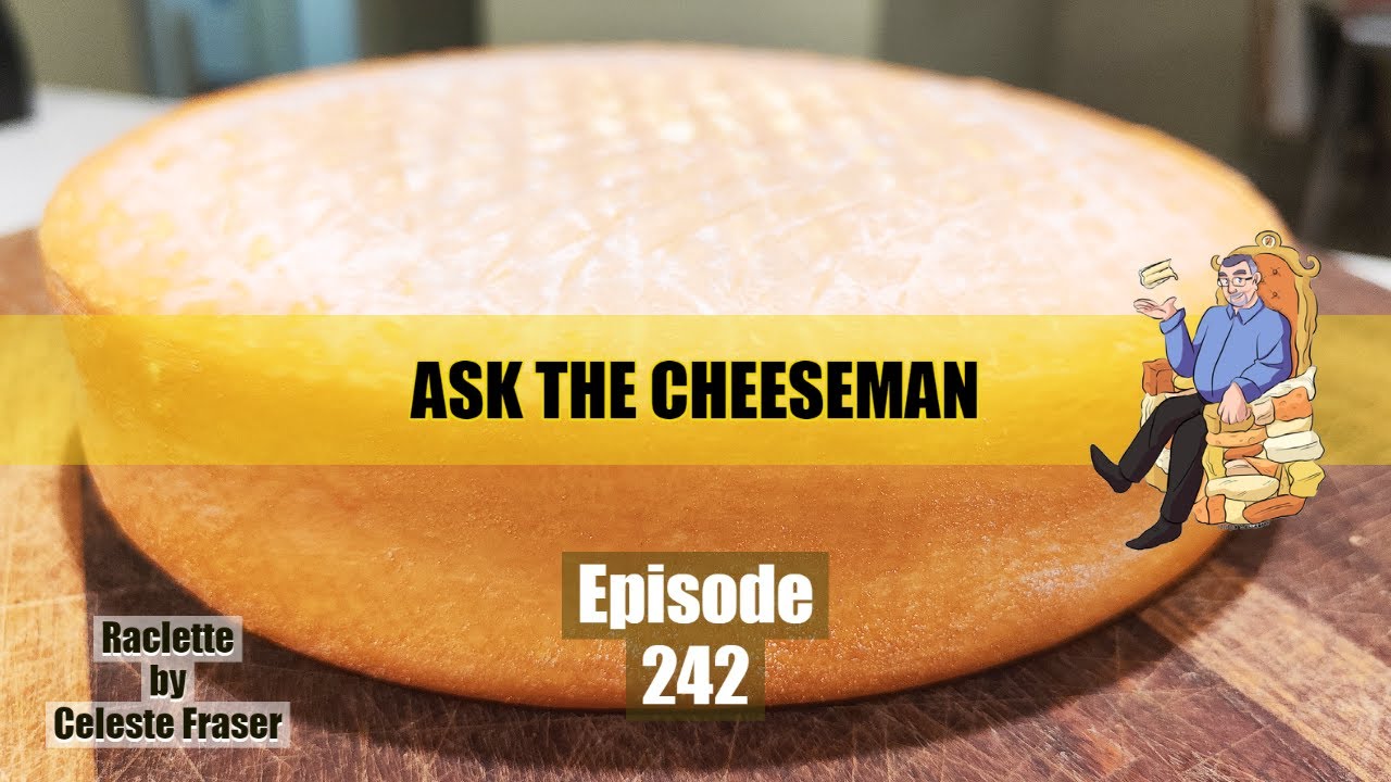 🔴 Ask the Cheeseman #242 - YouTube