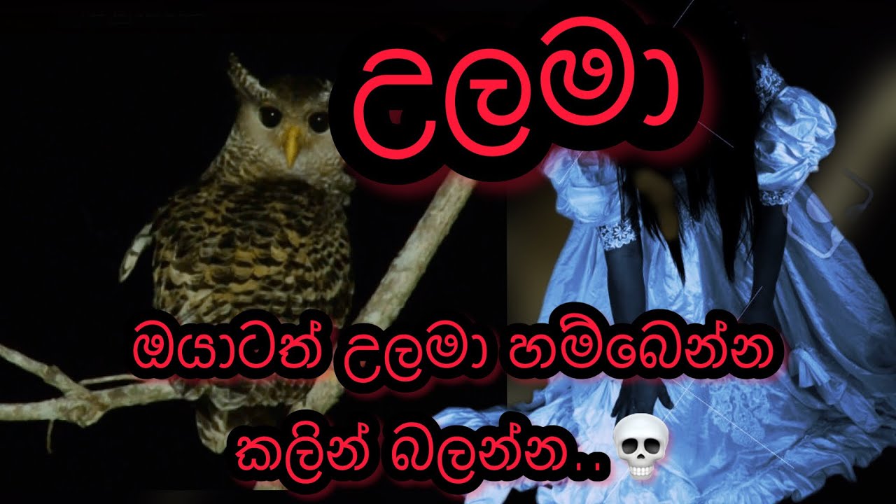 උලමා | ulama | sinhala | holman | srilanka | holmankatha | sinhala ...