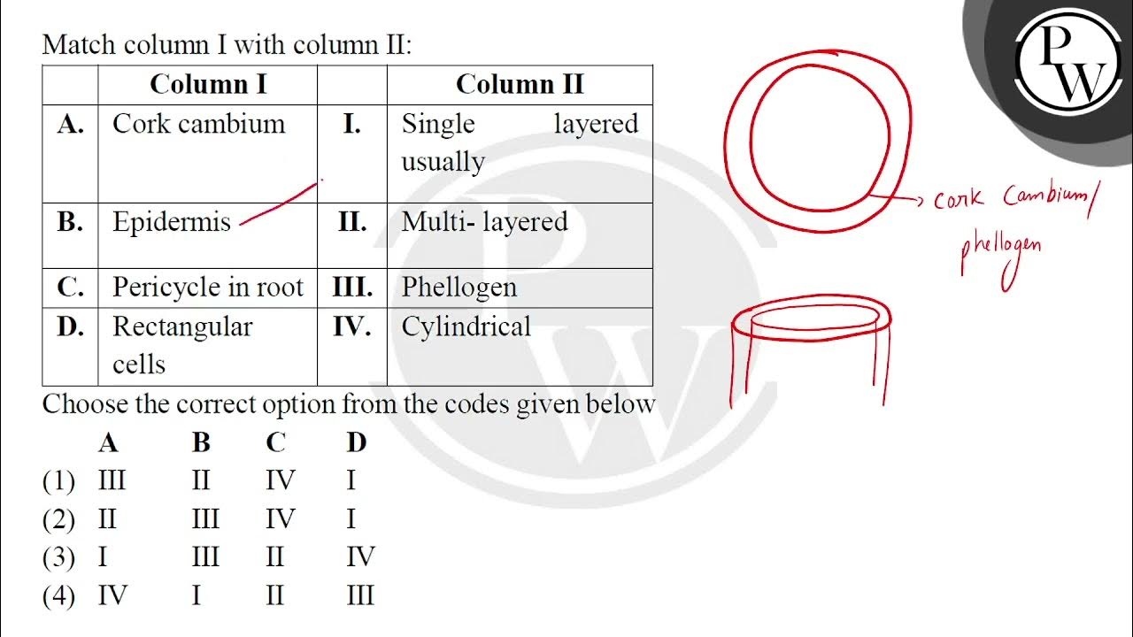Match column I with column II: \begin{tabular}{|l|l|c|l|} \hline & \multicolumn{1}{|c|}{ Column ...