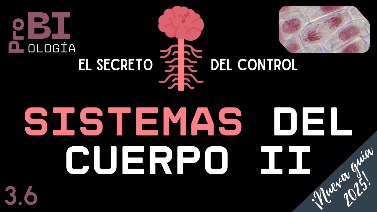 3.6. INTEGRACIÓN SISTEMAS DEL CUERPO II (NM) BI C3.1 | INTEGRATION OF ...