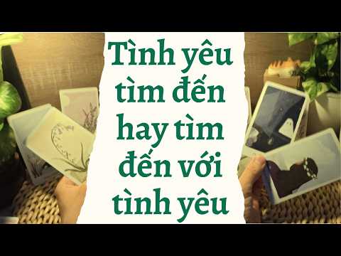 Tình yêu tìm đến hay tìm đến với tình yêu {Lỗi render nhìn timestamp} Khu vườn nhỏ của Andy